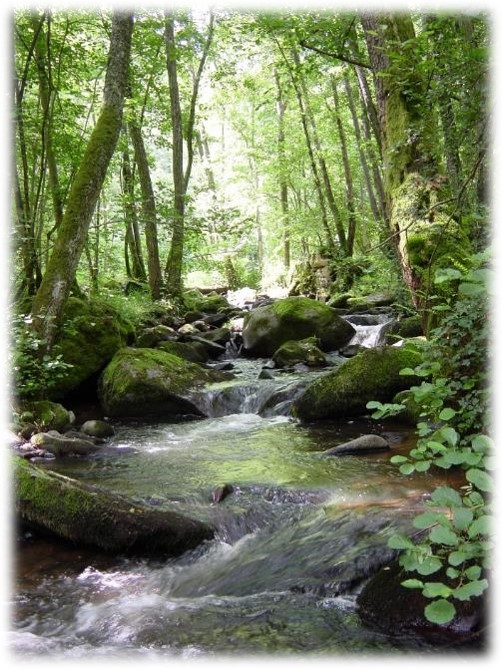 Travaux de restauration du ruisseau de Pignols - SMVVA